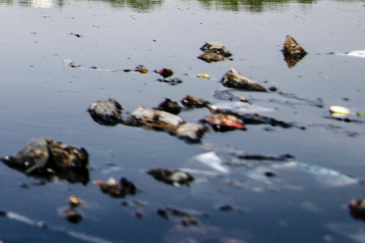 Wastewater Treatment- Stages and Process full details | vin civilworld