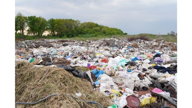 Land Pollution Animal Manure Overflowing Landfill Stock Illustration.