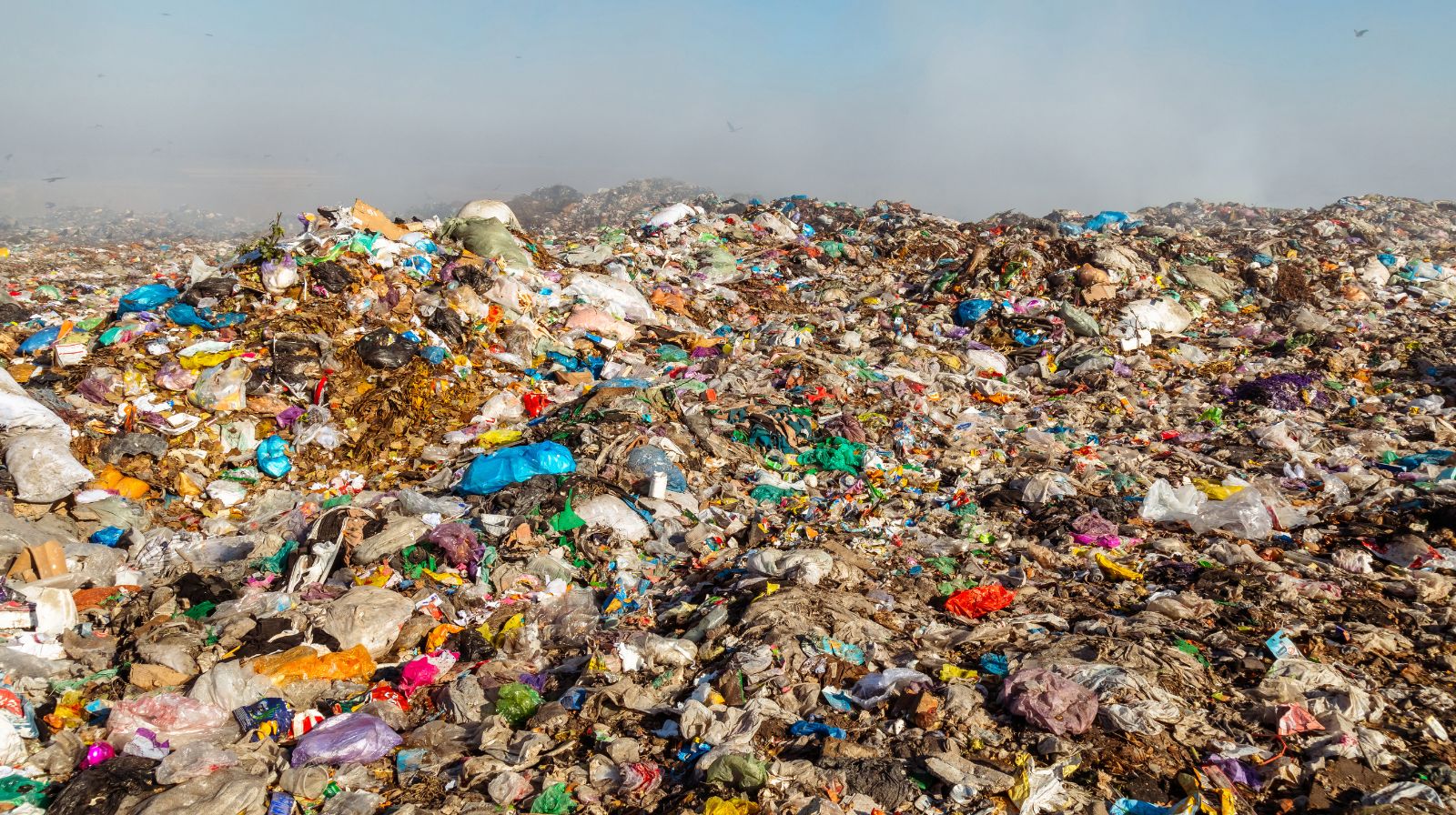 Landfills – Causes, Operation and Life Cycle- Everything you should ...