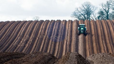 Furrow Method of Irrigation – Definition, Types and Advantages | vin ...