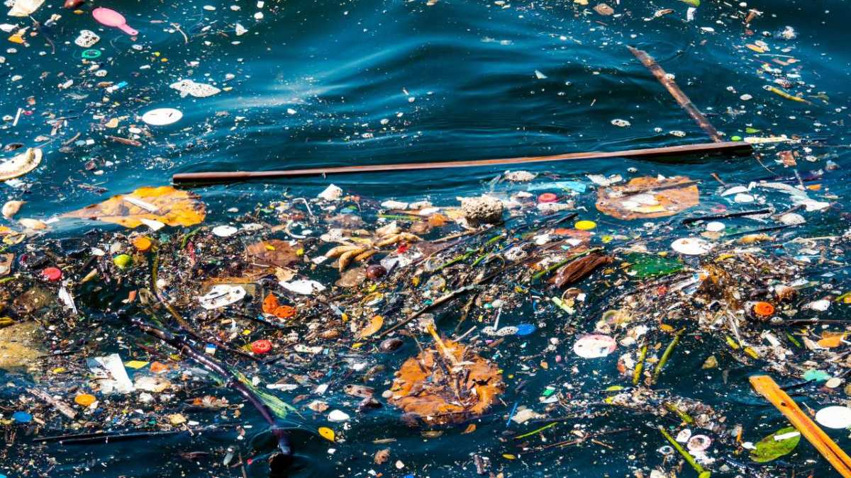 Water Pollution – Effects and Causes | vin civilworld